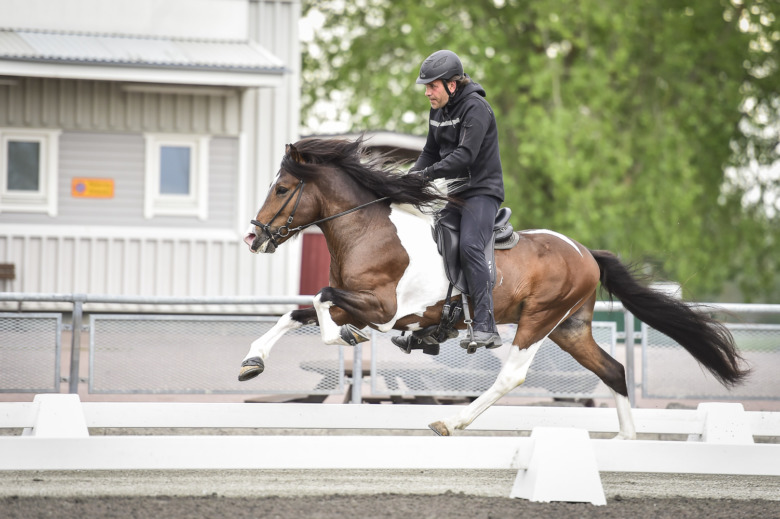 Erlingur Erlingsson blev Årets avelsvisare - Ridsport Island