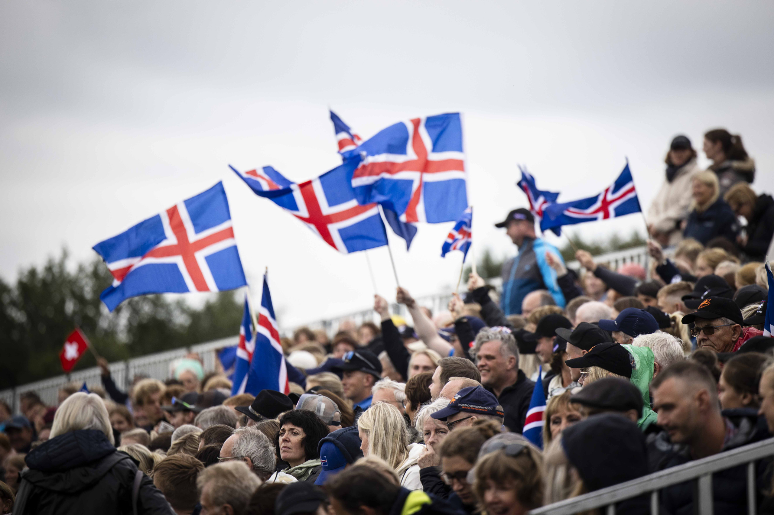 Sverigebaserad ryttare kan bli landslagstränare för Island - Ridsport ...