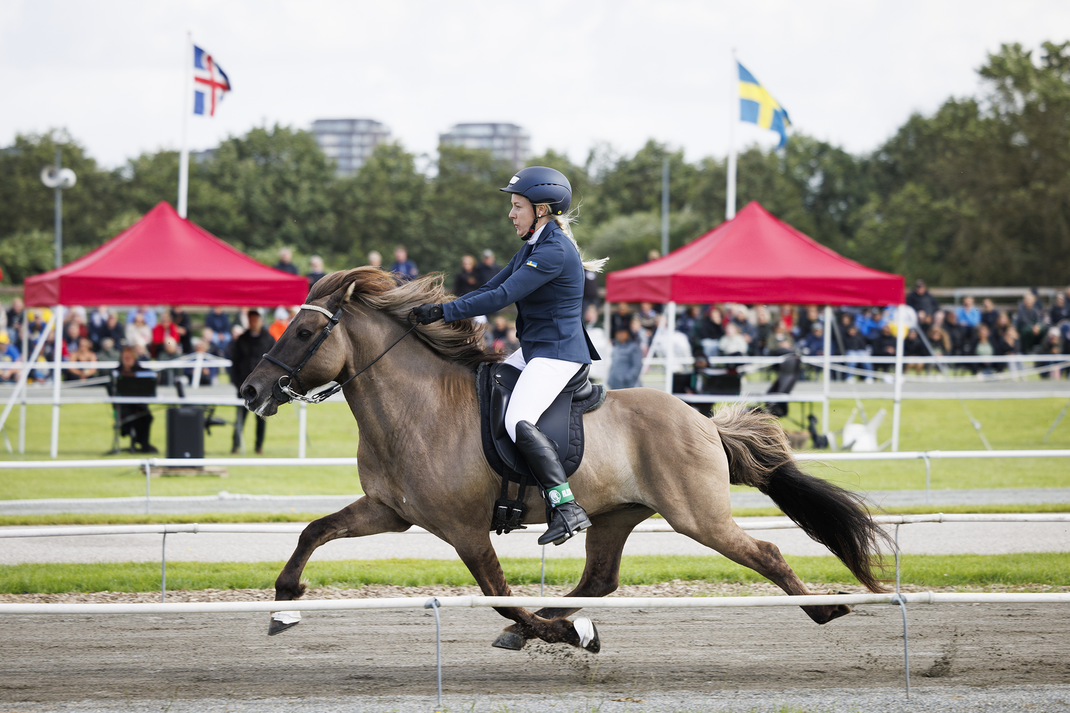 Tuff b-final i a-flokk för svenskarna - Ridsport Island