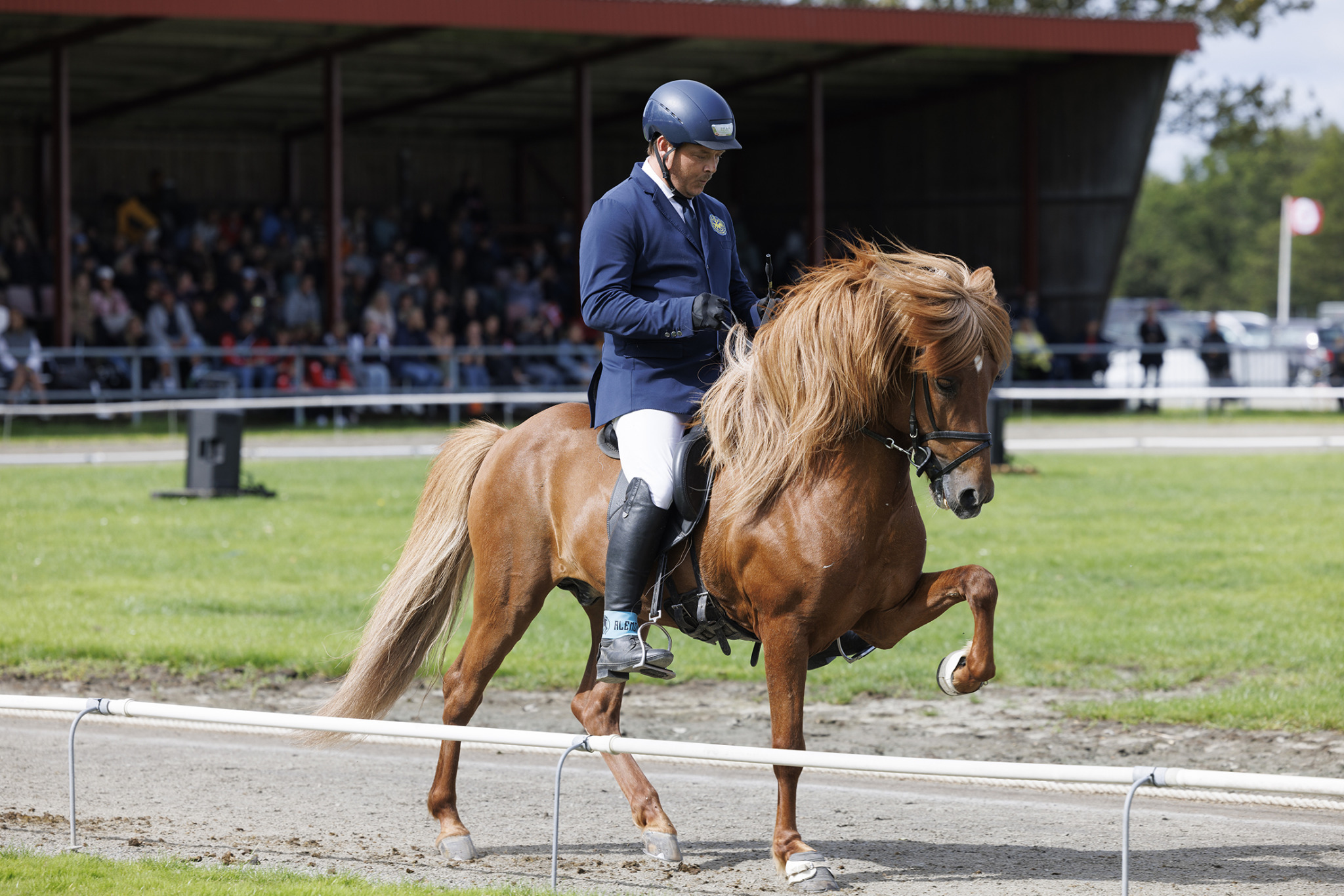 "Blir bara starkare och starkare" - Ridsport Island
