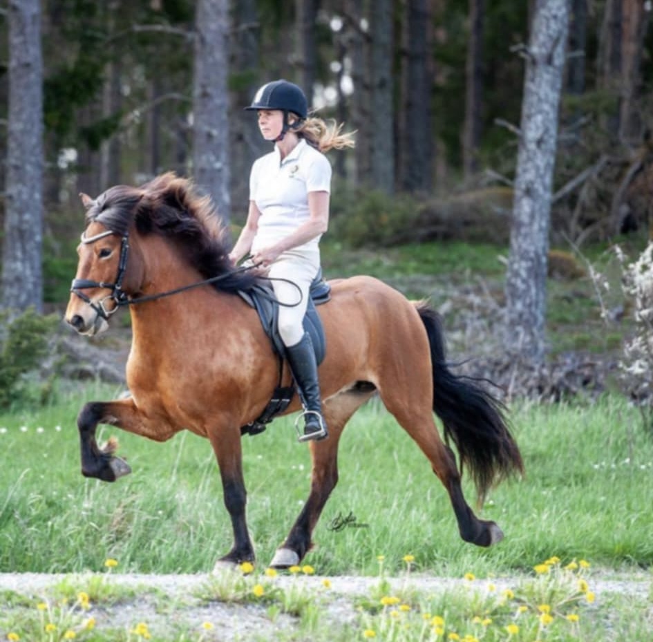 Dubbla segrar – Anna Lindblom drömmer om SM med villiga Tindra ...